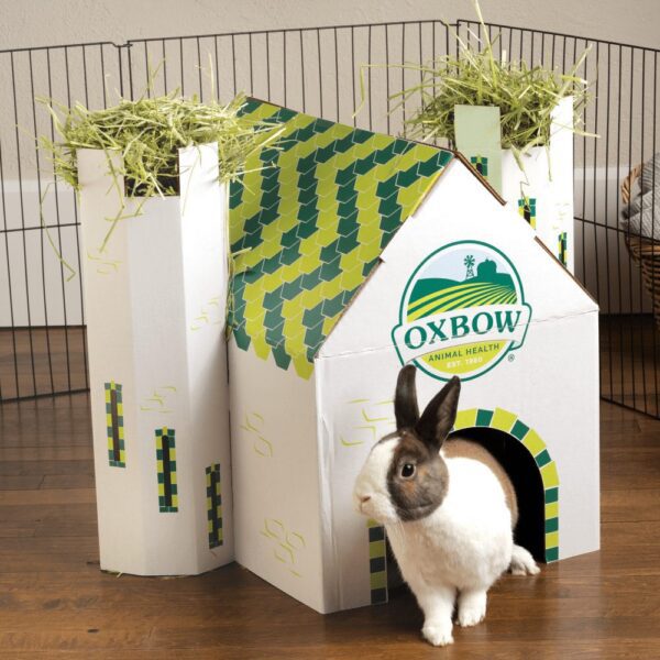 Oxbow Animal Health Enriched Life - Hideaway Dream Castle - Londonderry ...